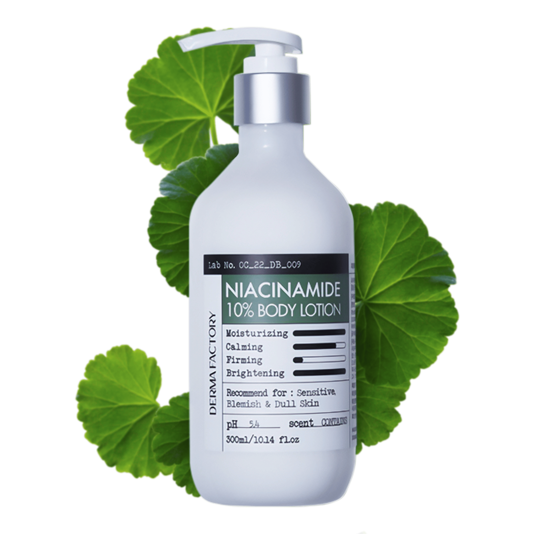 Niacinamide 10% Body Lotion - 300ml – Coccibeauty